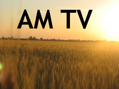 AMTV: "Si los fondos ejecutan órdenes de ventas, podrían verse ...